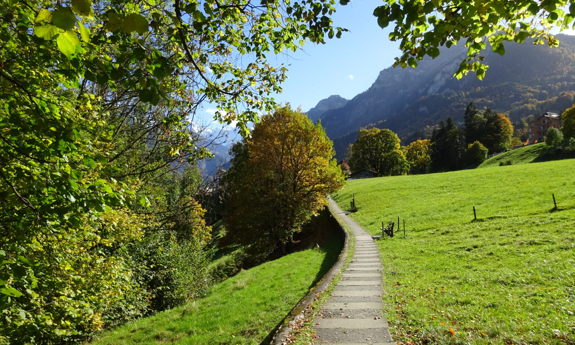 Anmeldung – Re-connect